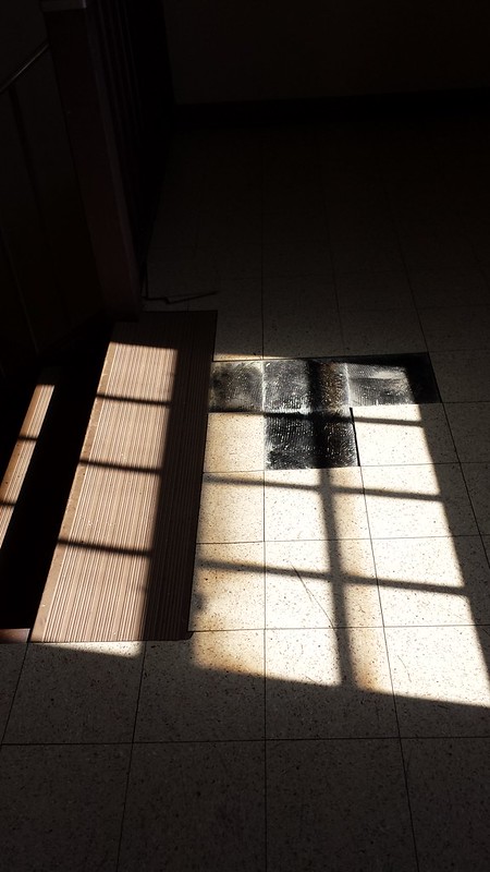 Laying low – slowly she turned